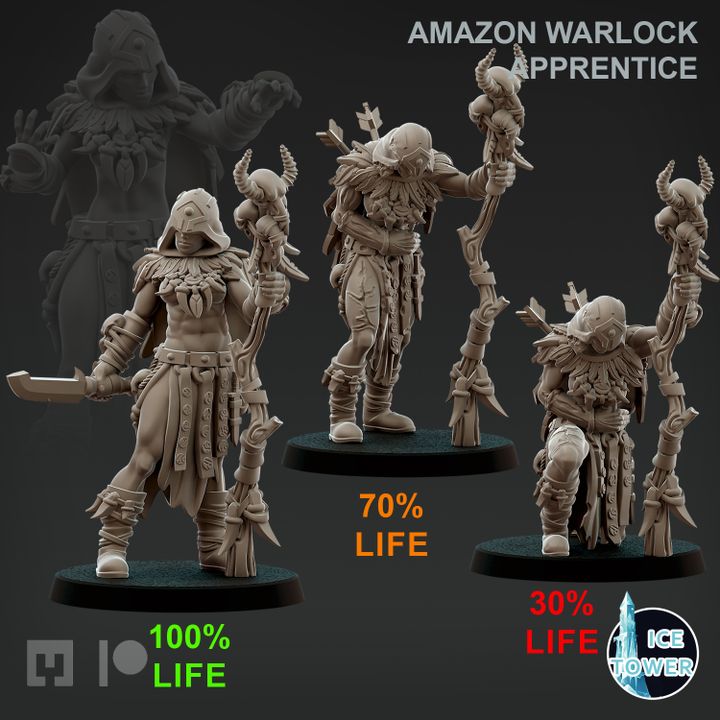 3D Printable Hero - Amazon Warlock Apprentice (HP-100-70-30) by Ice Tower